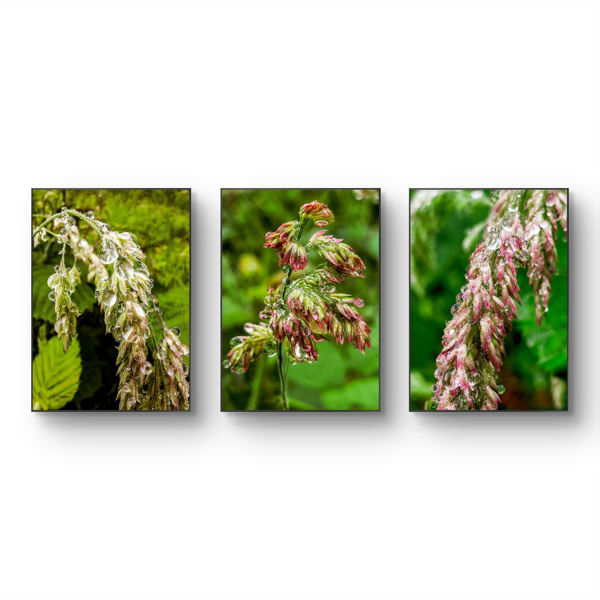 Biophilic Design 101: Bring Nature Indoors for Better Health – The ...